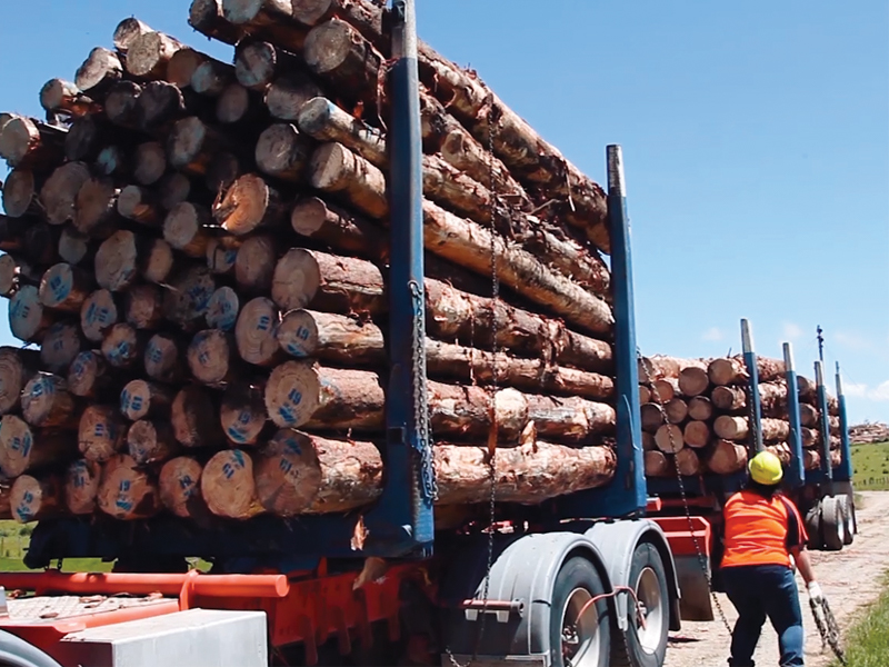 Video: Freightliner 2015 Logging Truck